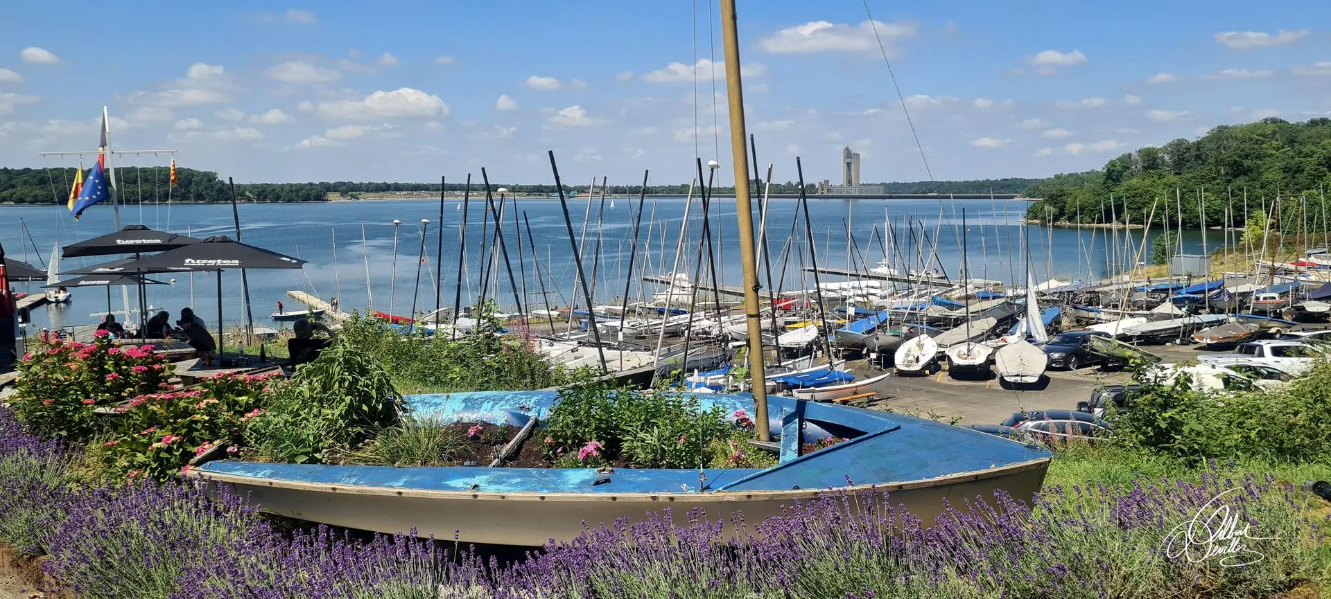 Une journée avec les enfants de "LEA" aux lacs de l'Eau d'Heure ...